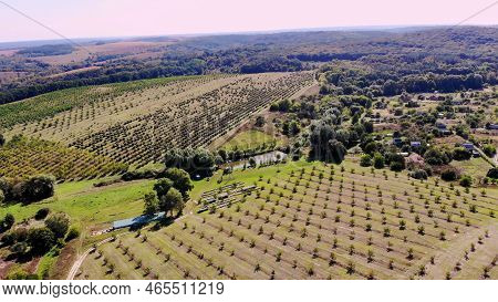 Farm, Fields Walnut Image & Photo (Free Trial) | Bigstock