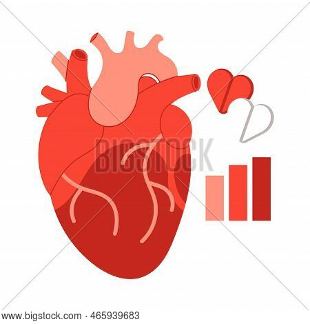Human Heart Muscle Vector & Photo (Free Trial) | Bigstock