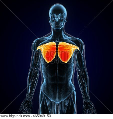 3d Illustration Image & Photo (Free Trial) | Bigstock