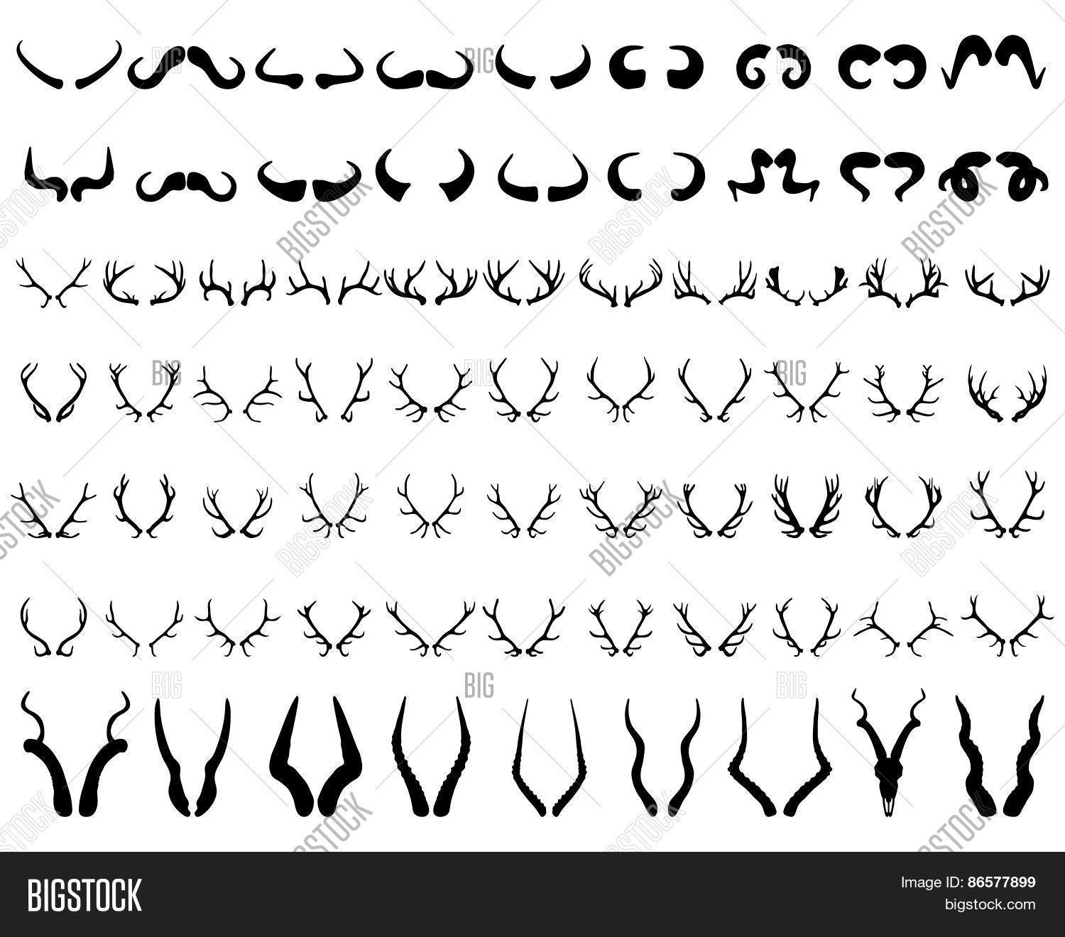 Different Horns Vector & Photo (Free Trial) | Bigstock