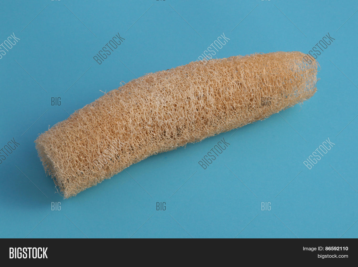 Luffa, Loofa Used Skin Image & Photo (Free Trial) | Bigstock