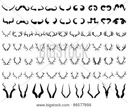 Different Horns Vector & Photo (Free Trial) | Bigstock