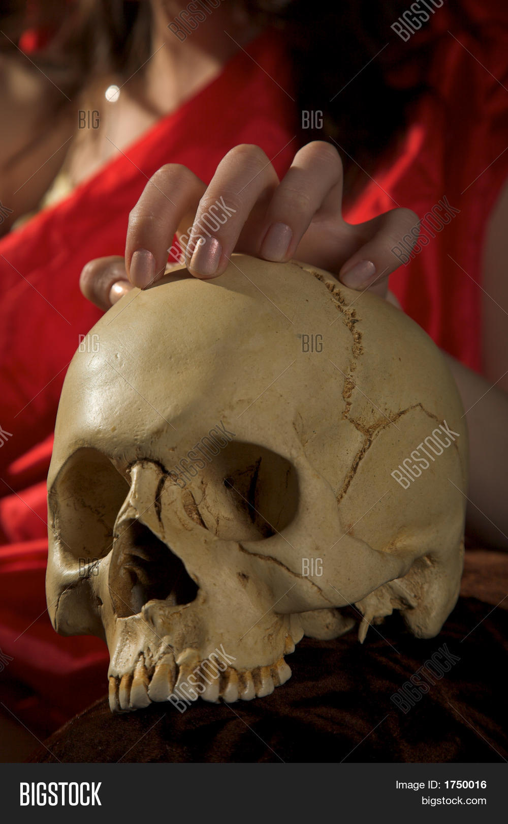 Cranium Hand Image & Photo (Free Trial) | Bigstock