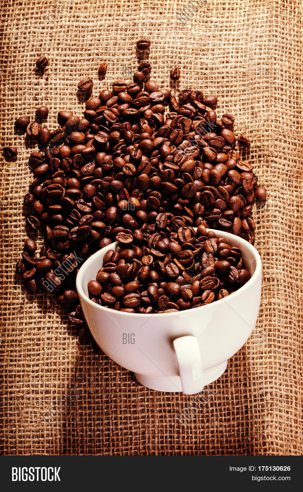 White Cup Coffee Seeds Image & Photo (Free Trial) | Bigstock