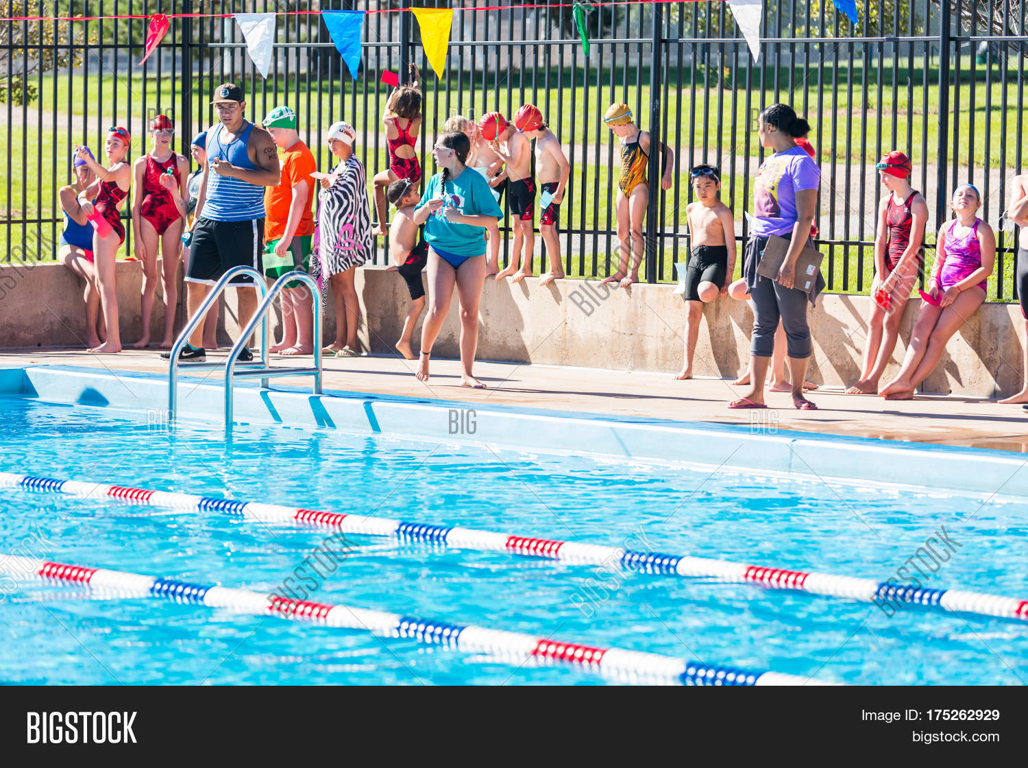 Swim Meet Image & Photo (Free Trial) | Bigstock