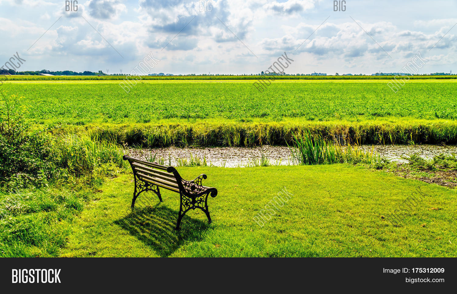 Typical Polder Image & Photo (Free Trial) | Bigstock
