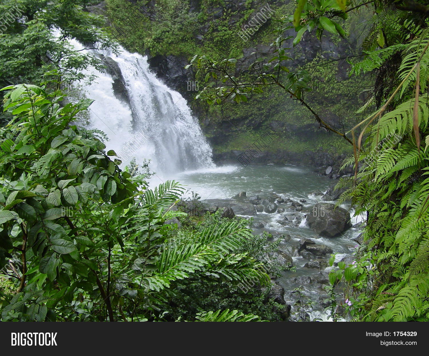 Falls Pond Image & Photo (Free Trial) | Bigstock
