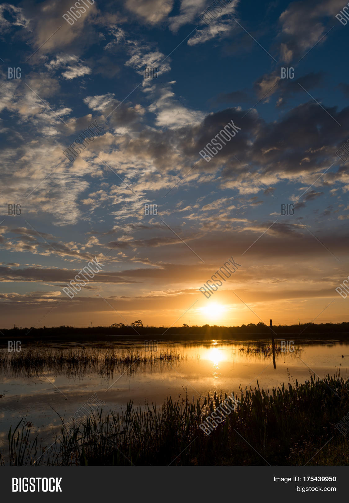 Beautiful Morning Image & Photo (Free Trial) | Bigstock