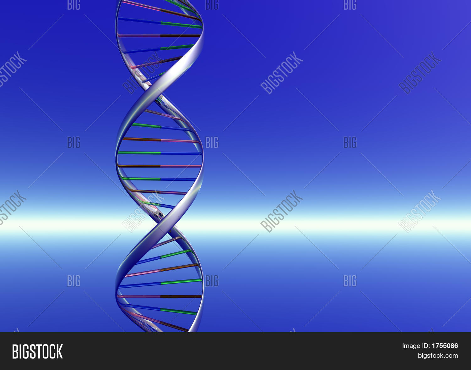 Dna Double Helix Image & Photo (Free Trial) | Bigstock