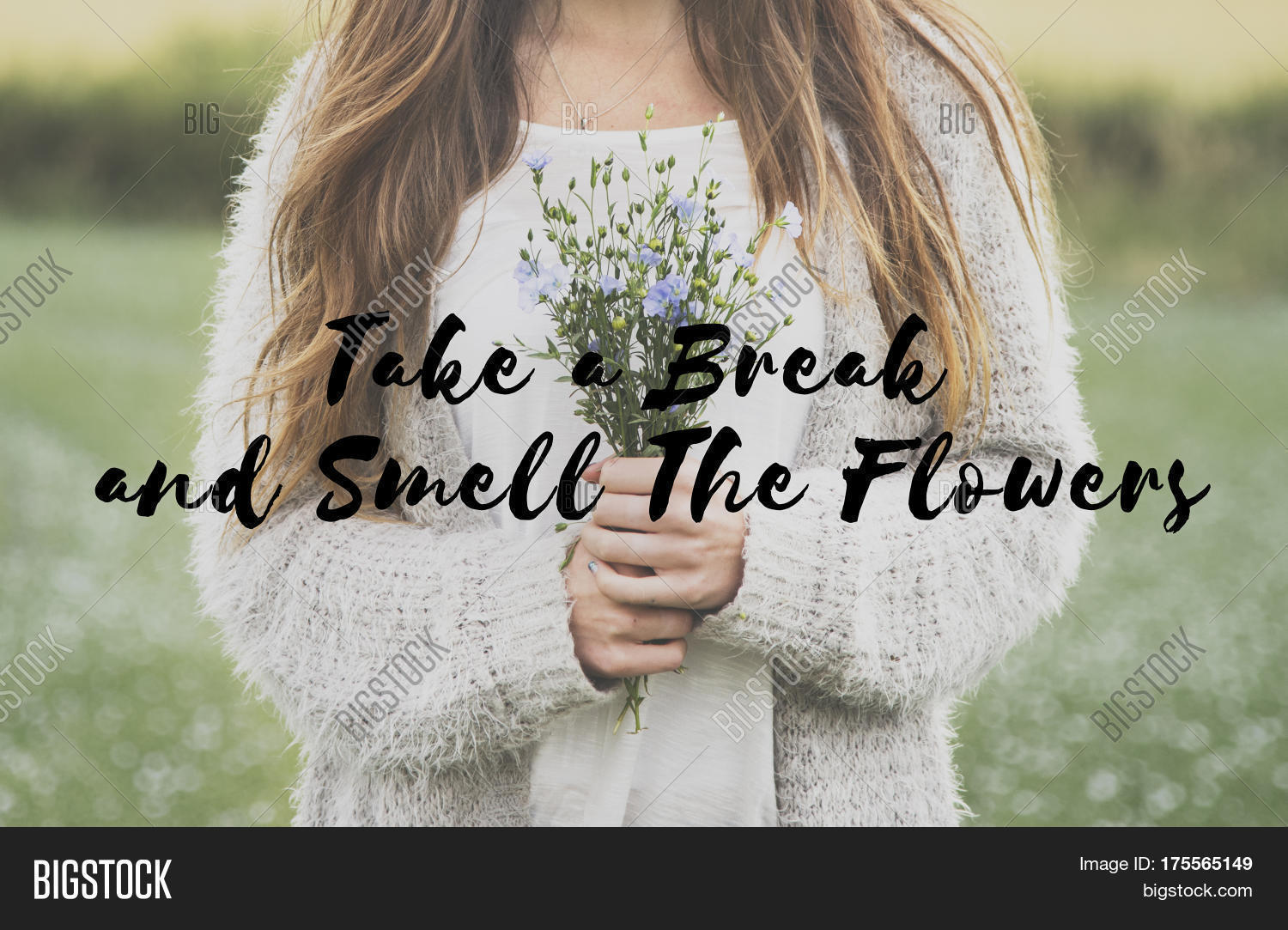 Take Break Smell Image & Photo (Free Trial) | Bigstock