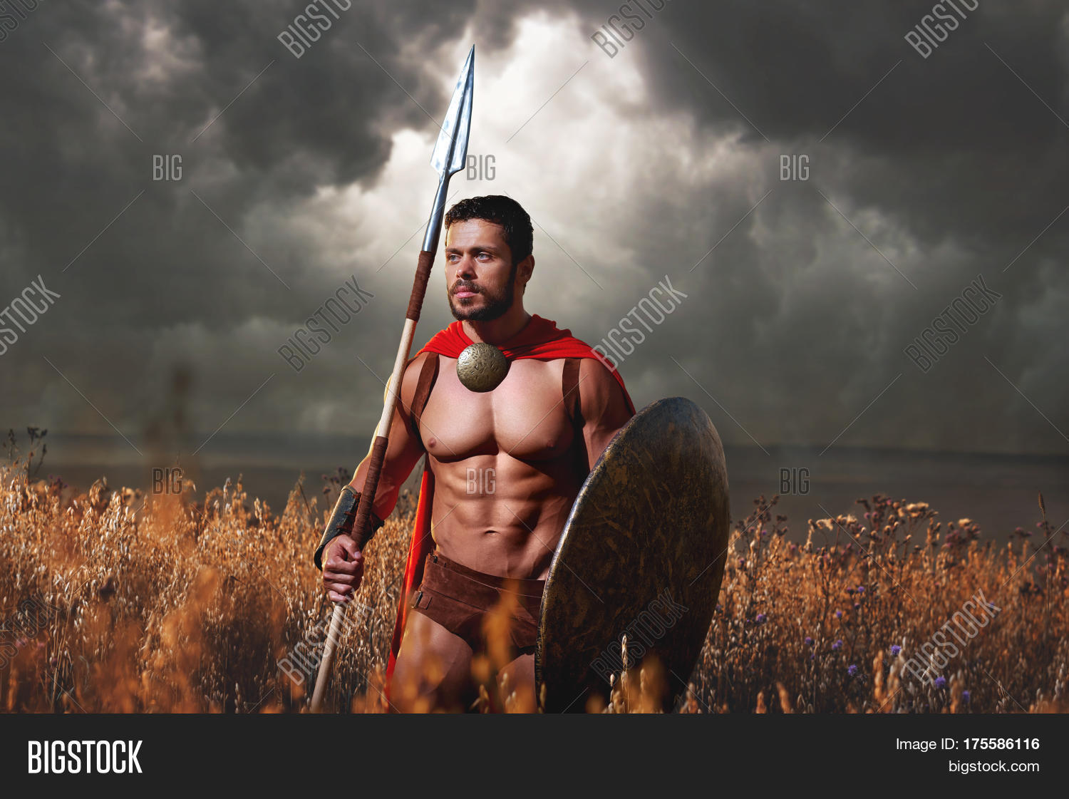 Handsome Powerful Image & Photo (Free Trial) | Bigstock