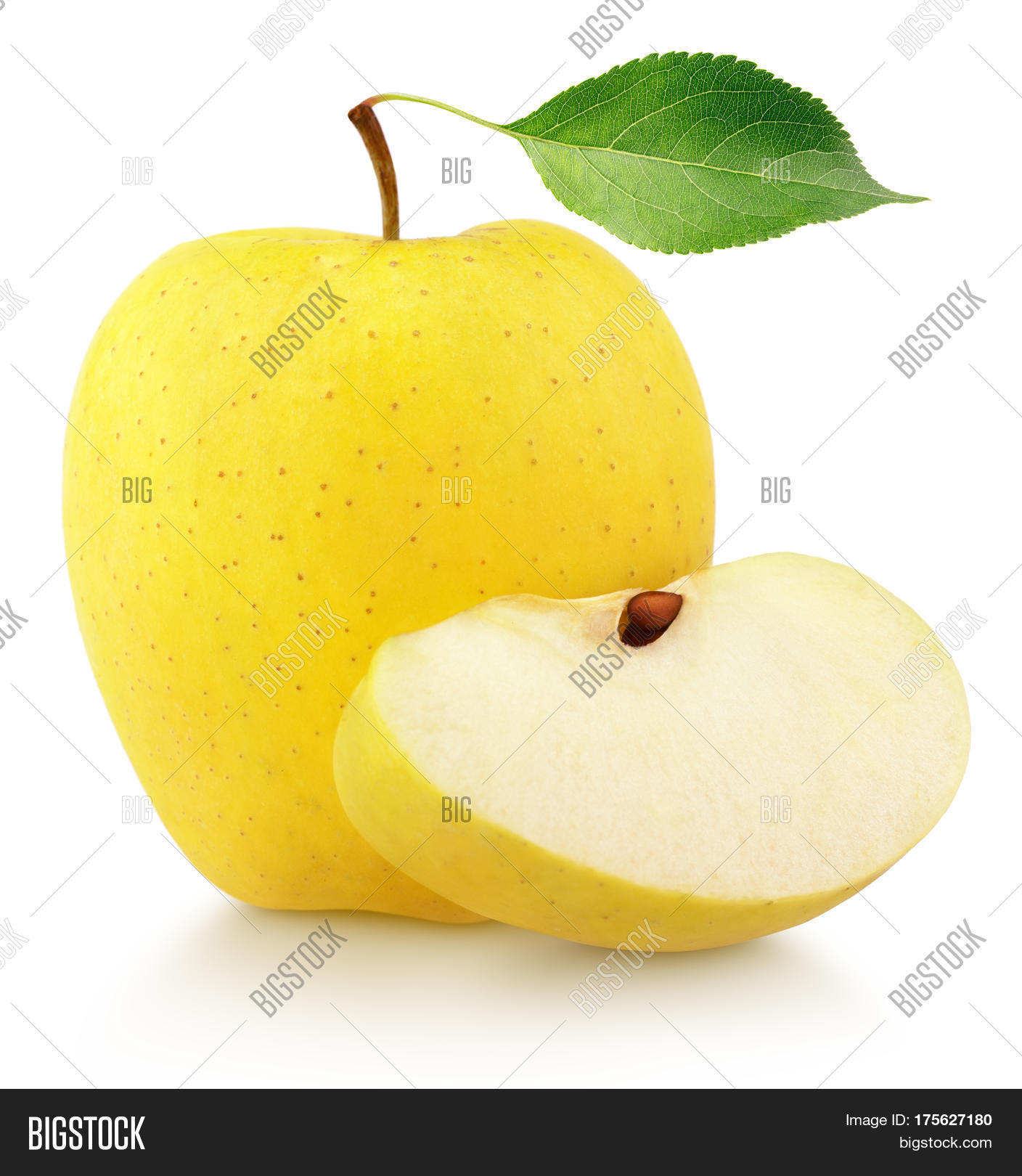 Yellow Apple Slice Image & Photo (Free Trial) | Bigstock