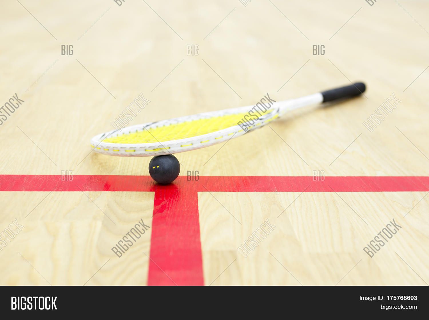 Squash Racket Ball On Image & Photo (Free Trial) | Bigstock