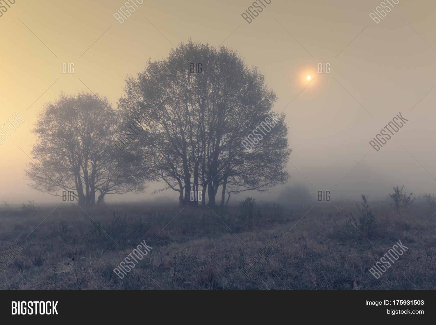 Foggy Twilight Moon Image & Photo (Free Trial) | Bigstock