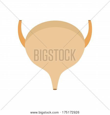 Bladder Icon Flat Vector & Photo (Free Trial) | Bigstock