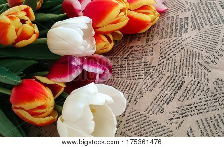 Tulips Flowers Bunch Image & Photo (Free Trial) | Bigstock