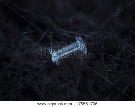 Macro Photo Real Image & Photo (Free Trial) | Bigstock