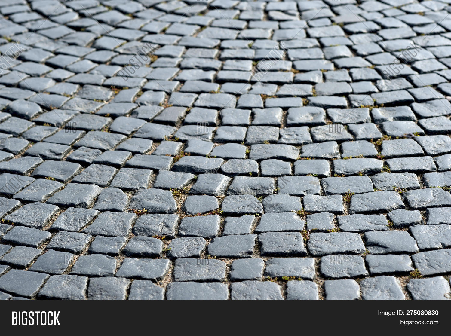 Pavement Stone Blocks Image & Photo (Free Trial) | Bigstock