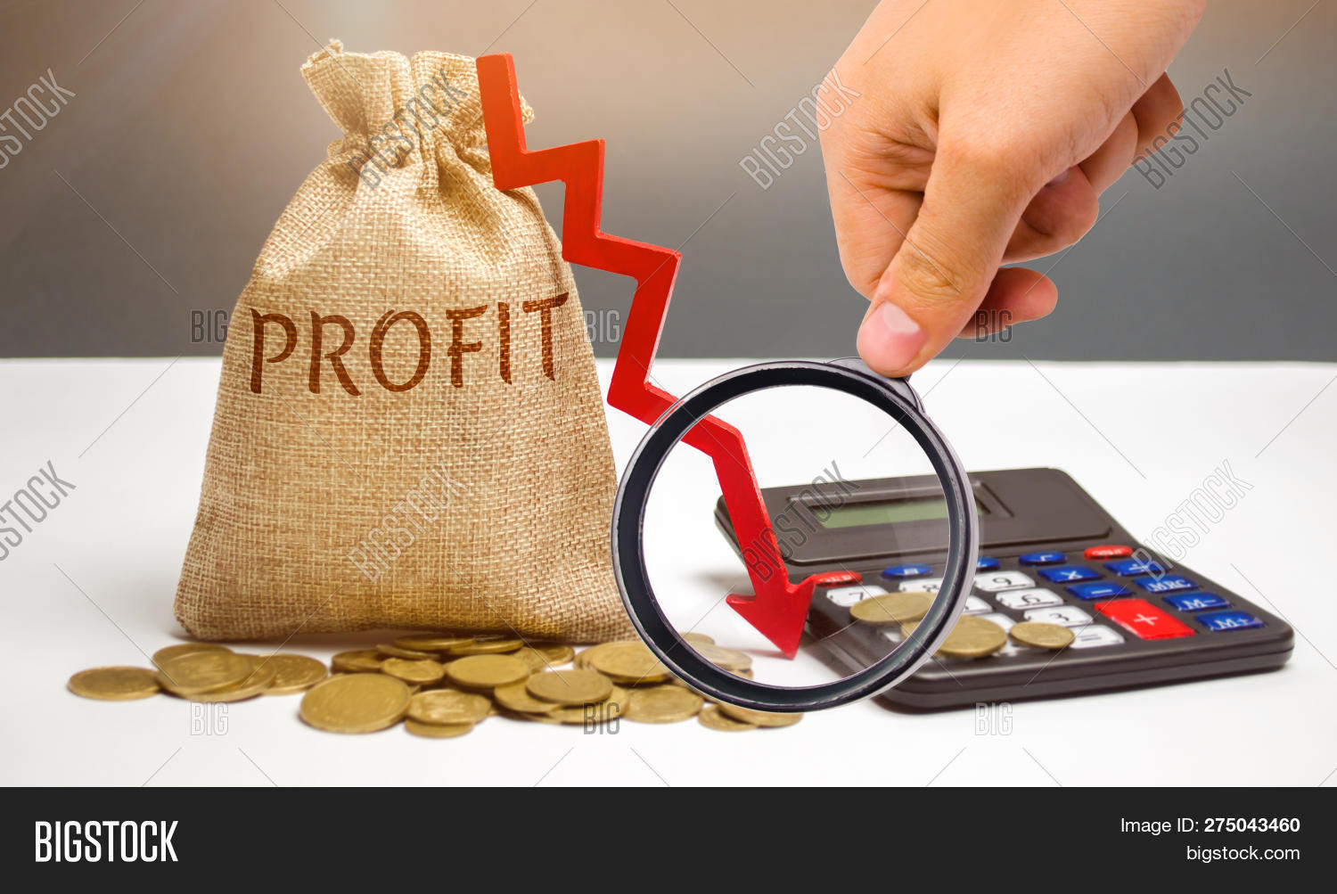 Bag Money Word Profit Image & Photo (Free Trial) | Bigstock