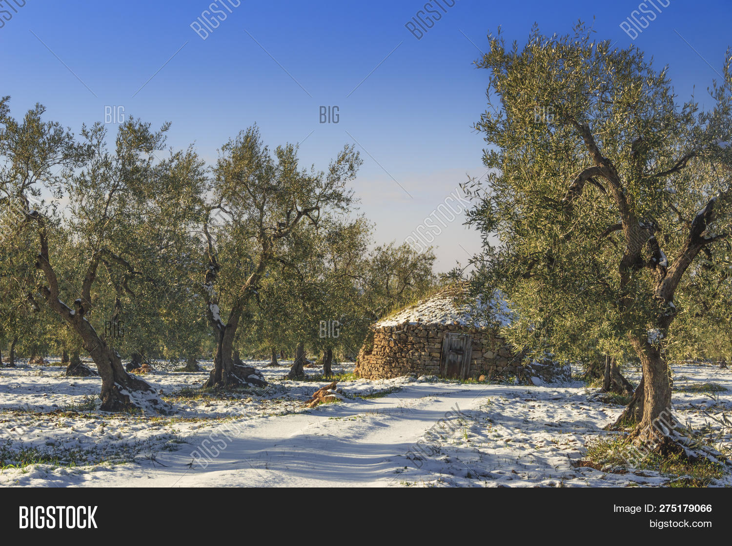 Italy Landscape: Image & Photo (Free Trial) | Bigstock