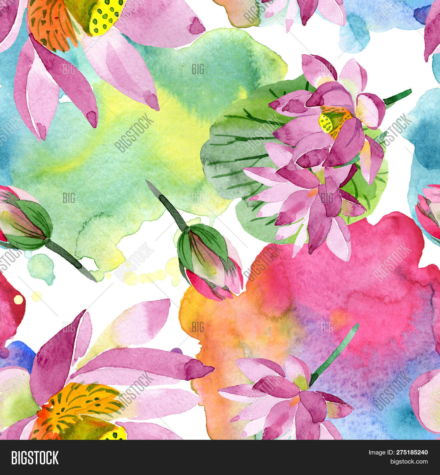 Purple Lotus. Floral Image & Photo (Free Trial) | Bigstock