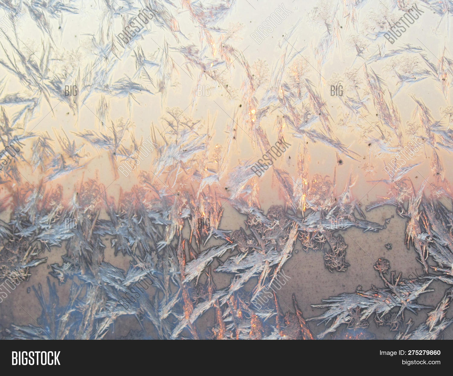 Bird Shape Frost Ice Image & Photo (Free Trial) | Bigstock