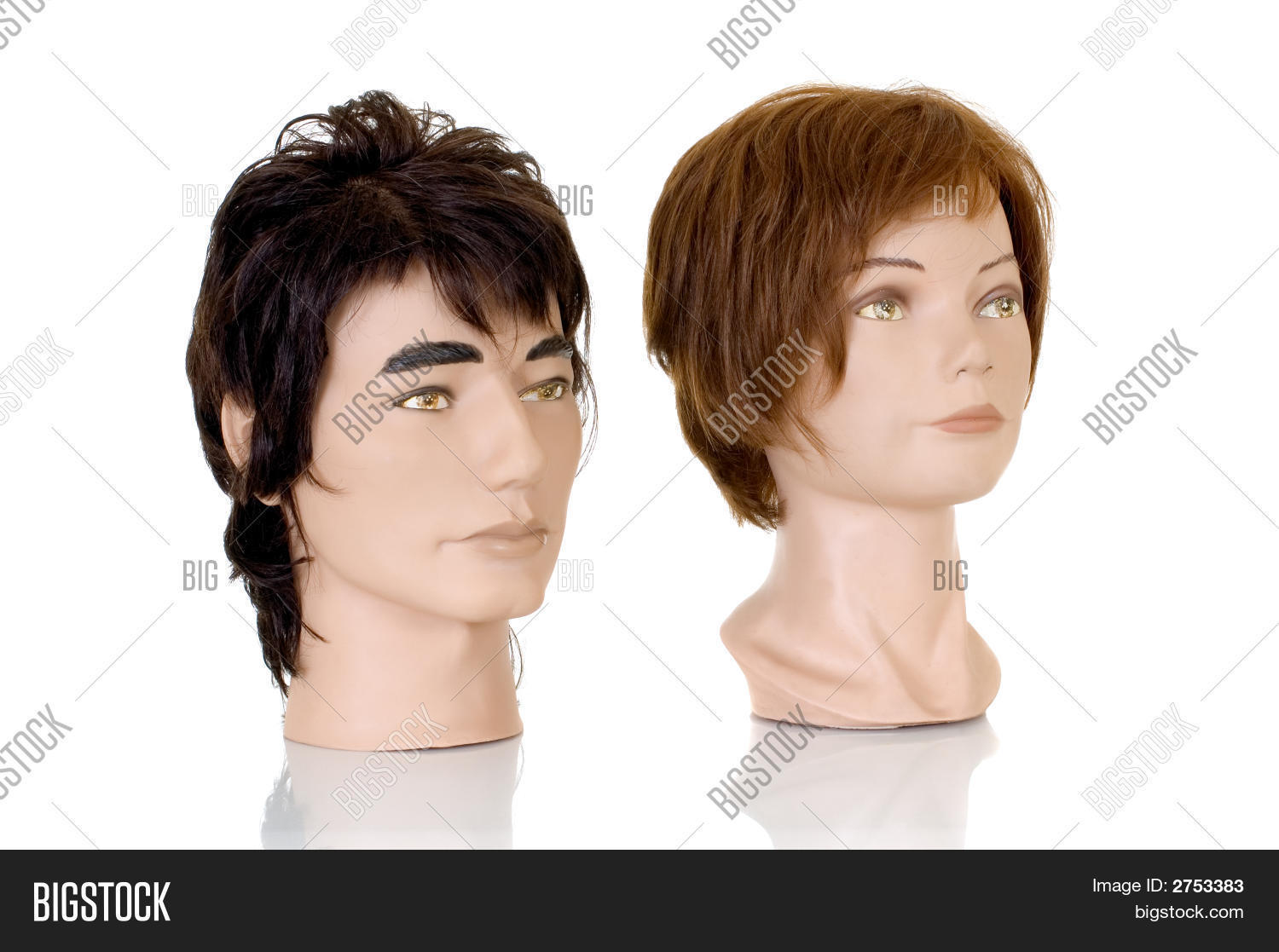 Modeling Heads Image & Photo (Free Trial) | Bigstock
