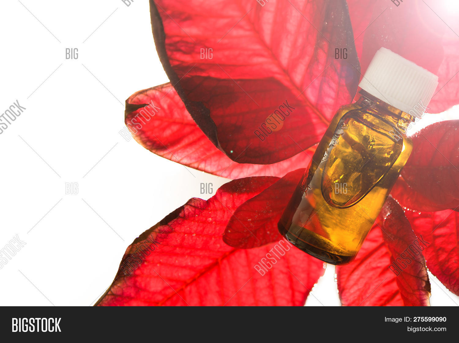 Floriterapia Bacha - Image & Photo (Free Trial) | Bigstock