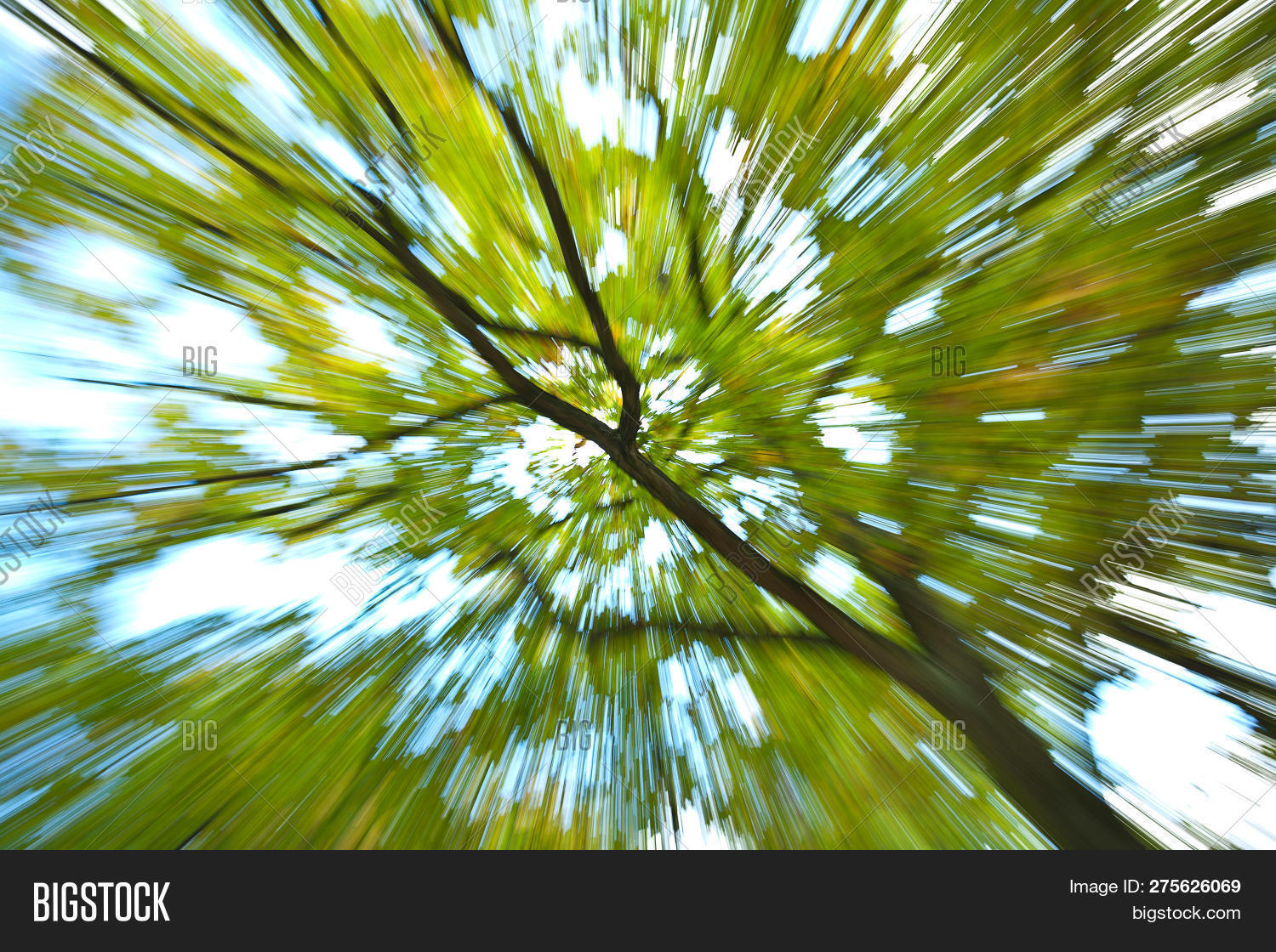Trees Autumn Denmark Image & Photo (Free Trial) | Bigstock