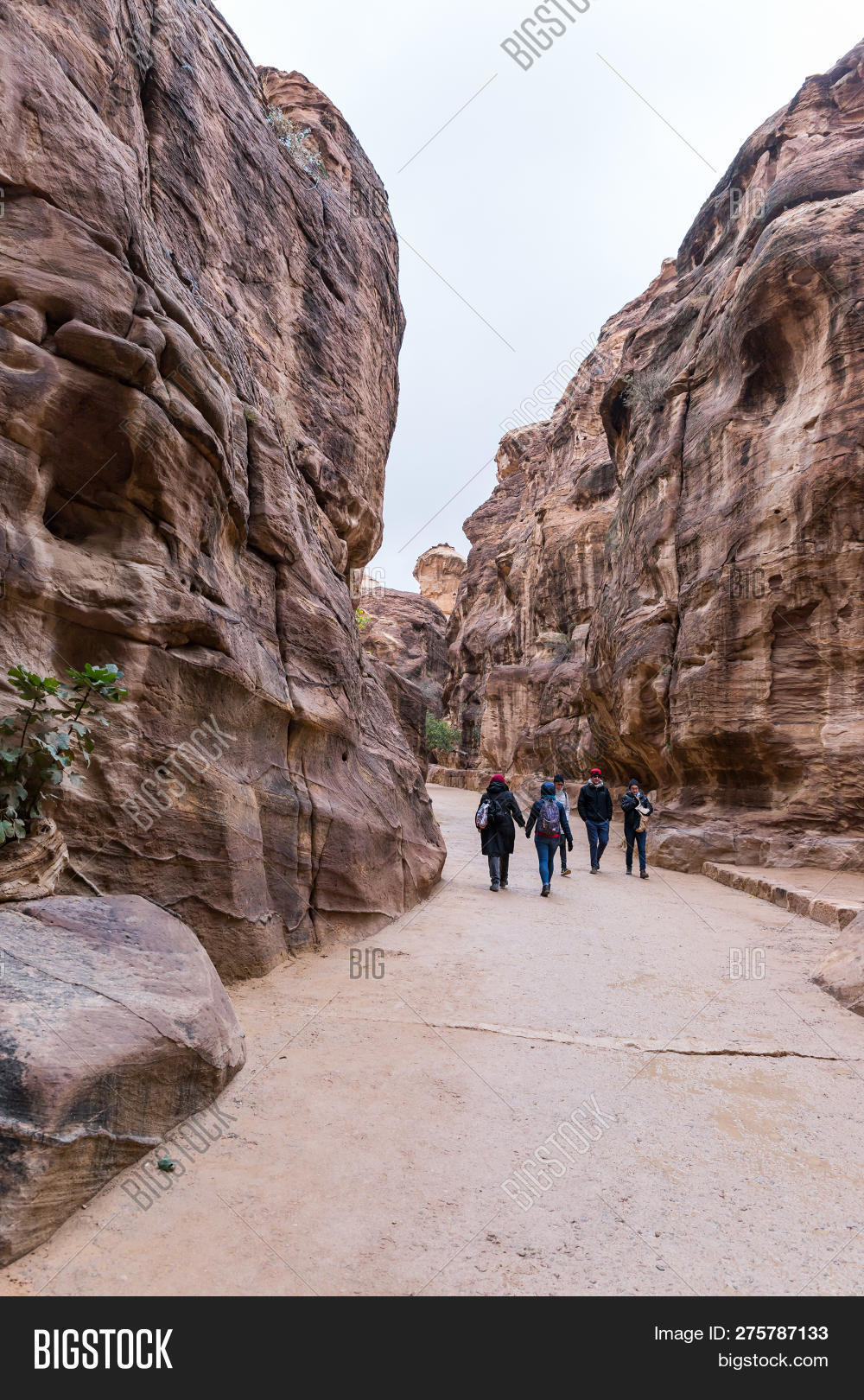 Wadi Musa, Jordan, Image & Photo (Free Trial) | Bigstock