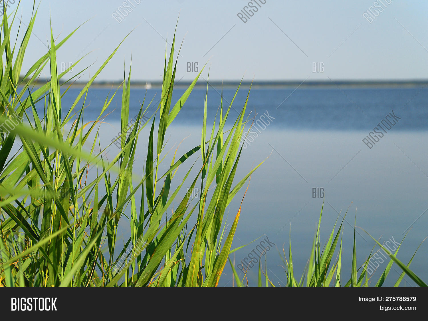 Bodden Landscape Image & Photo (Free Trial) | Bigstock