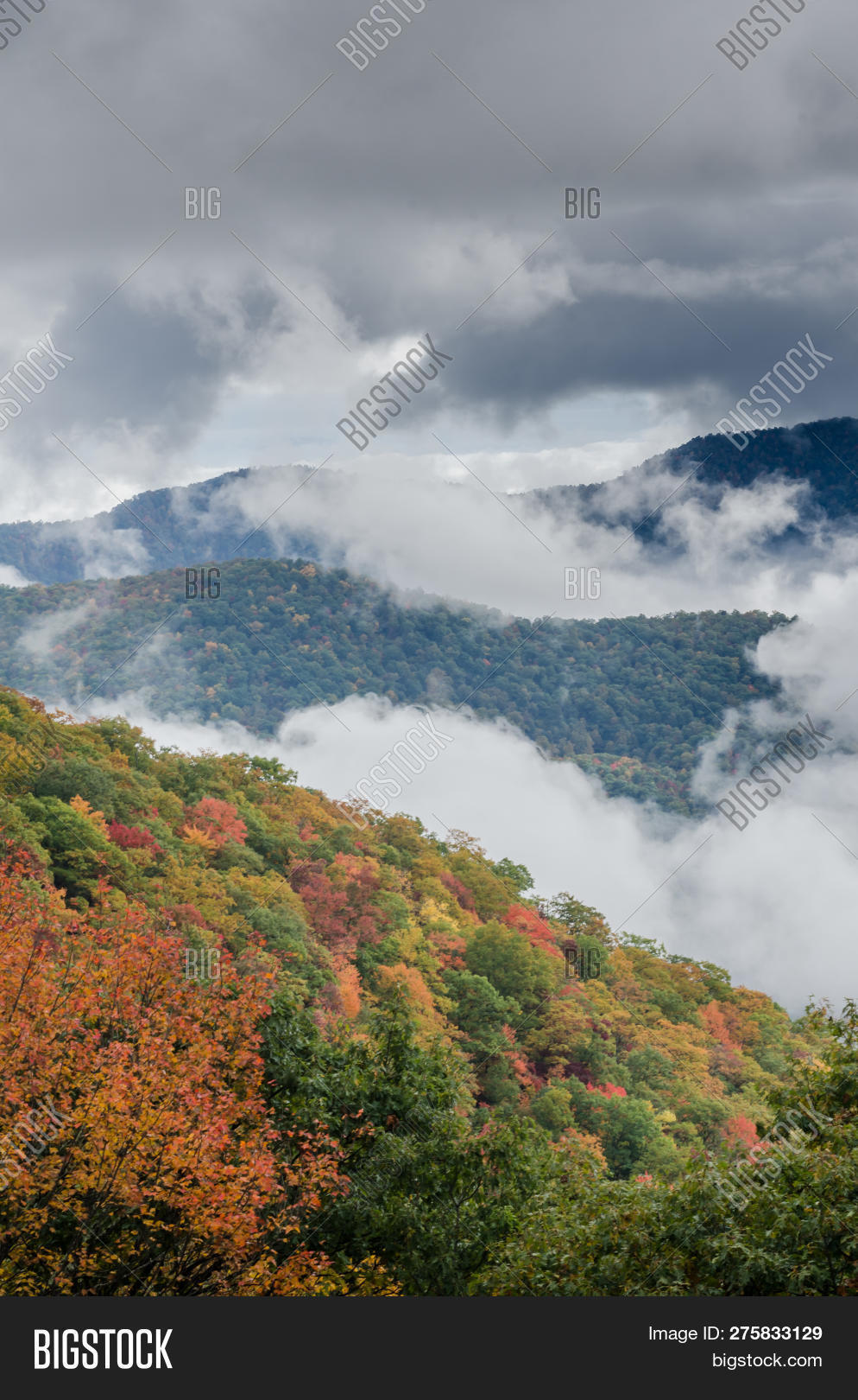 Layers Fog Mountains Image & Photo (Free Trial) | Bigstock