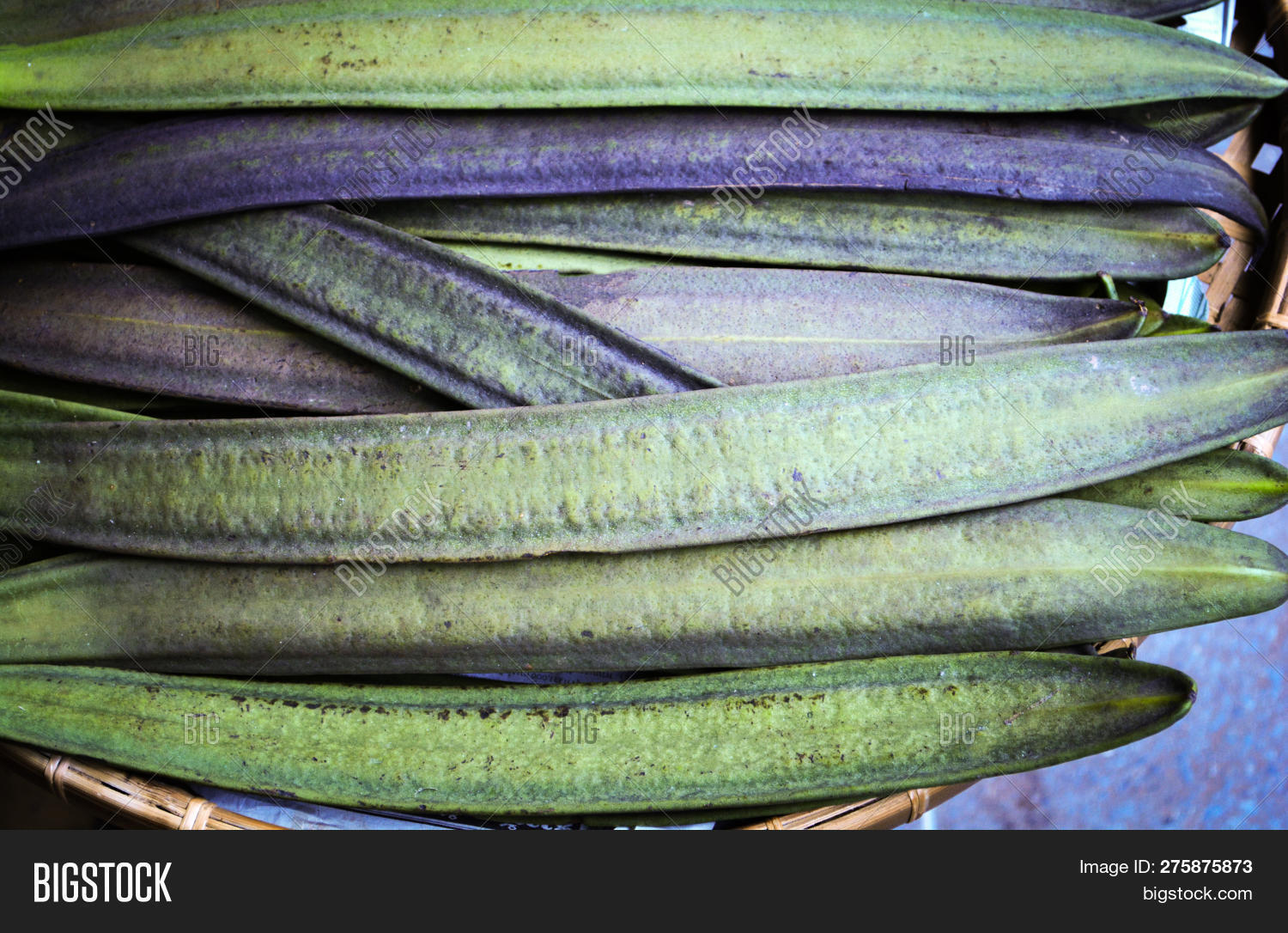 Tree , Indian Trumpet Image & Photo (Free Trial) | Bigstock
