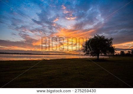 One Tree Landscape / Image & Photo (Free Trial) | Bigstock