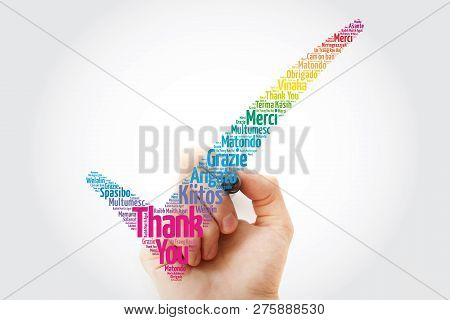 Thank You Check Mark Image & Photo (Free Trial) | Bigstock