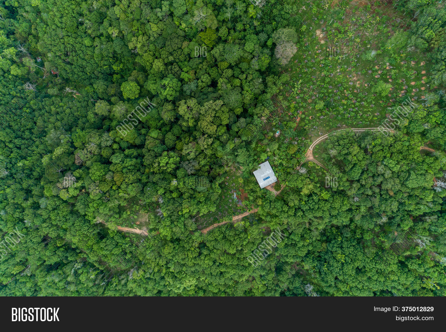 Aerial View Drone Image & Photo (Free Trial) | Bigstock