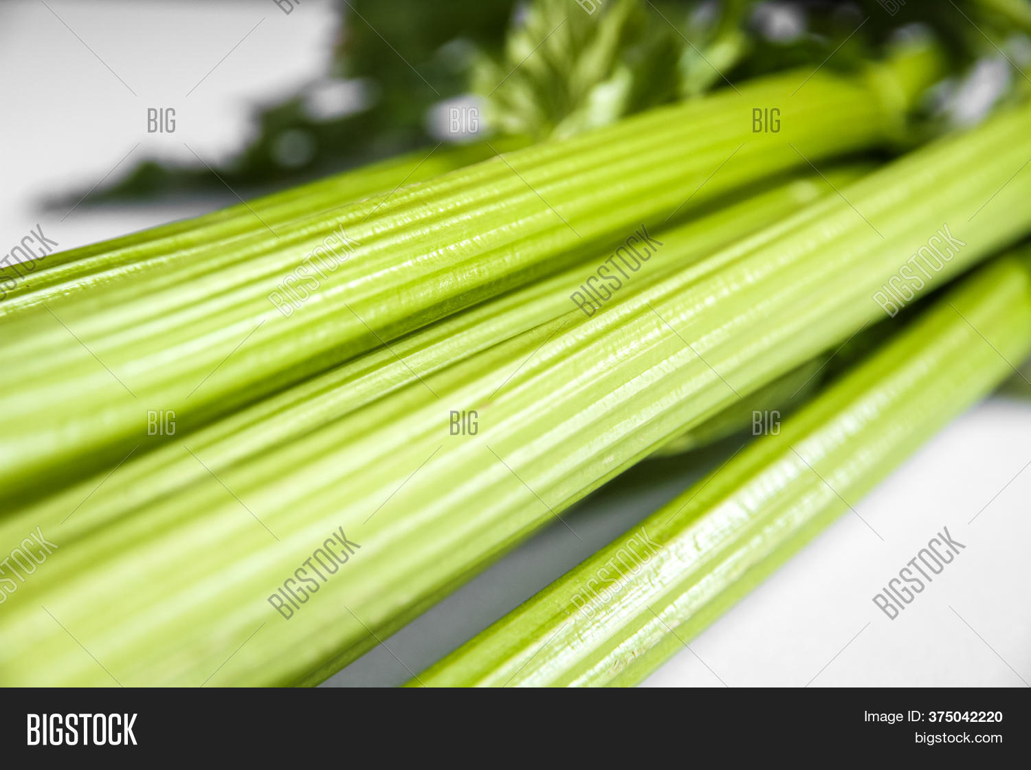 Celery Branch Bunch Image & Photo (Free Trial) | Bigstock