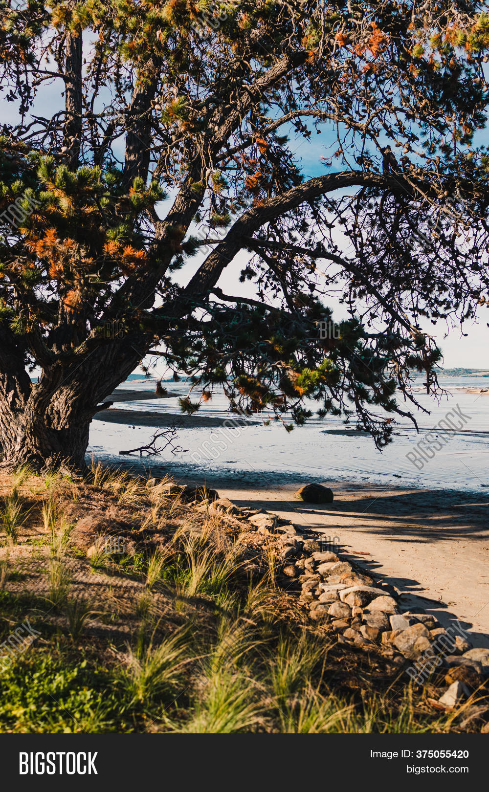 Beautiful Tasmanian Image & Photo (Free Trial) | Bigstock