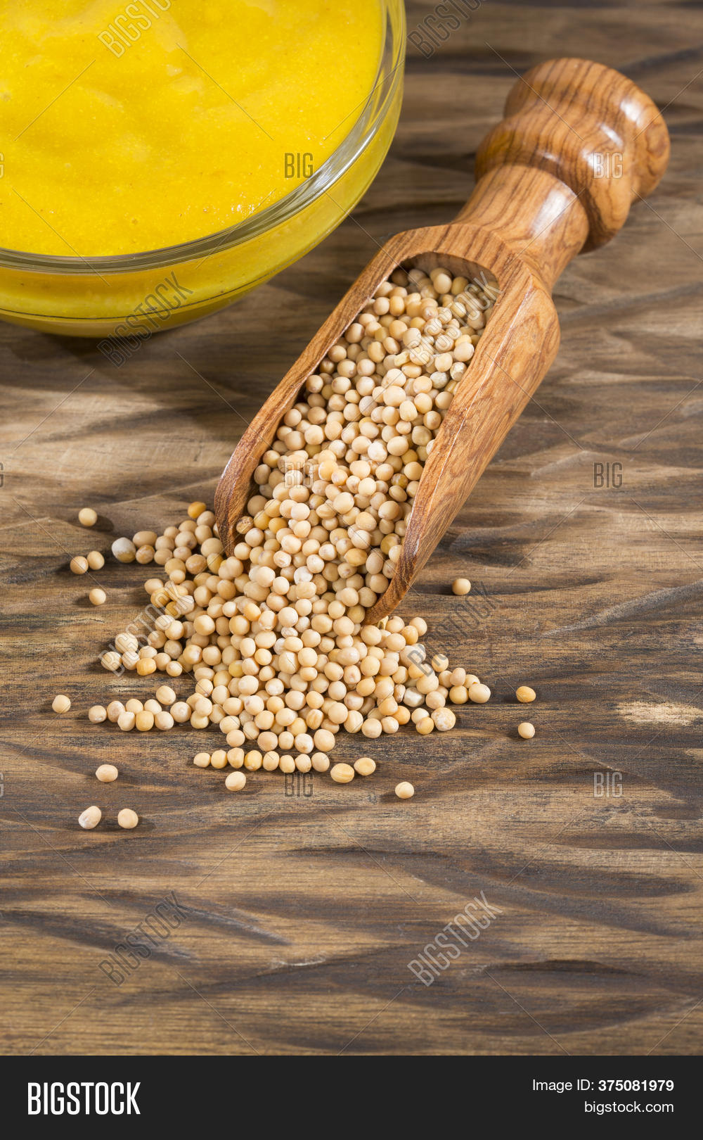 Yellow Mustard Called Image & Photo (Free Trial) | Bigstock