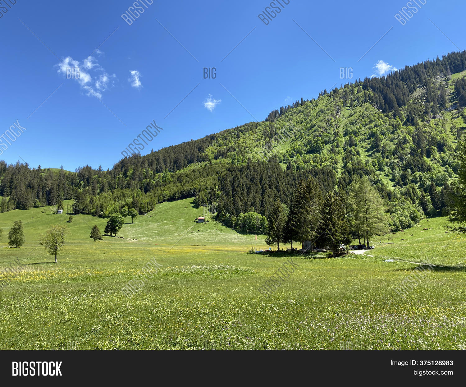 Alpine Pastures Image & Photo (Free Trial) | Bigstock