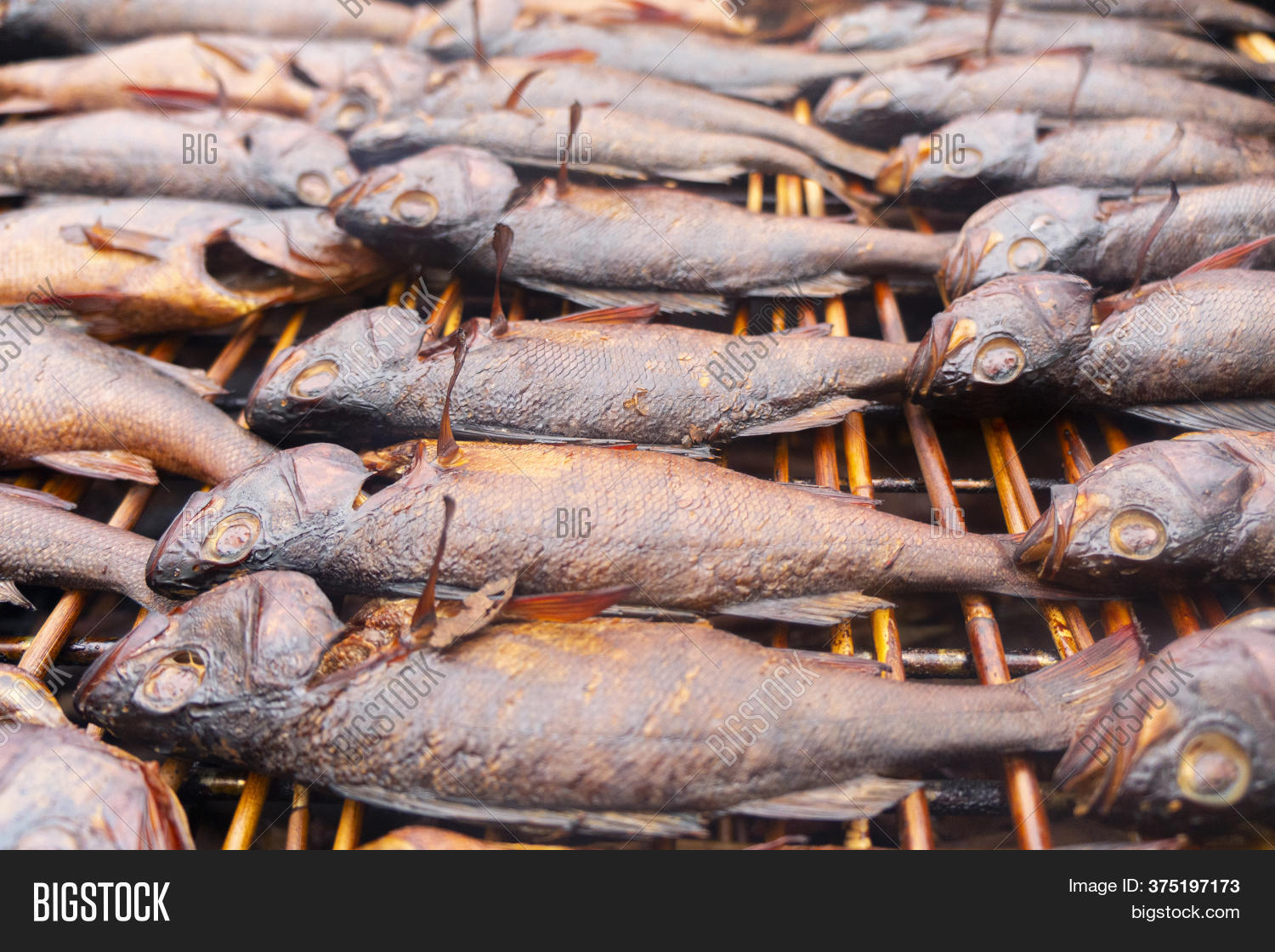 Smoked Fish. Smoke. Image & Photo (Free Trial) | Bigstock