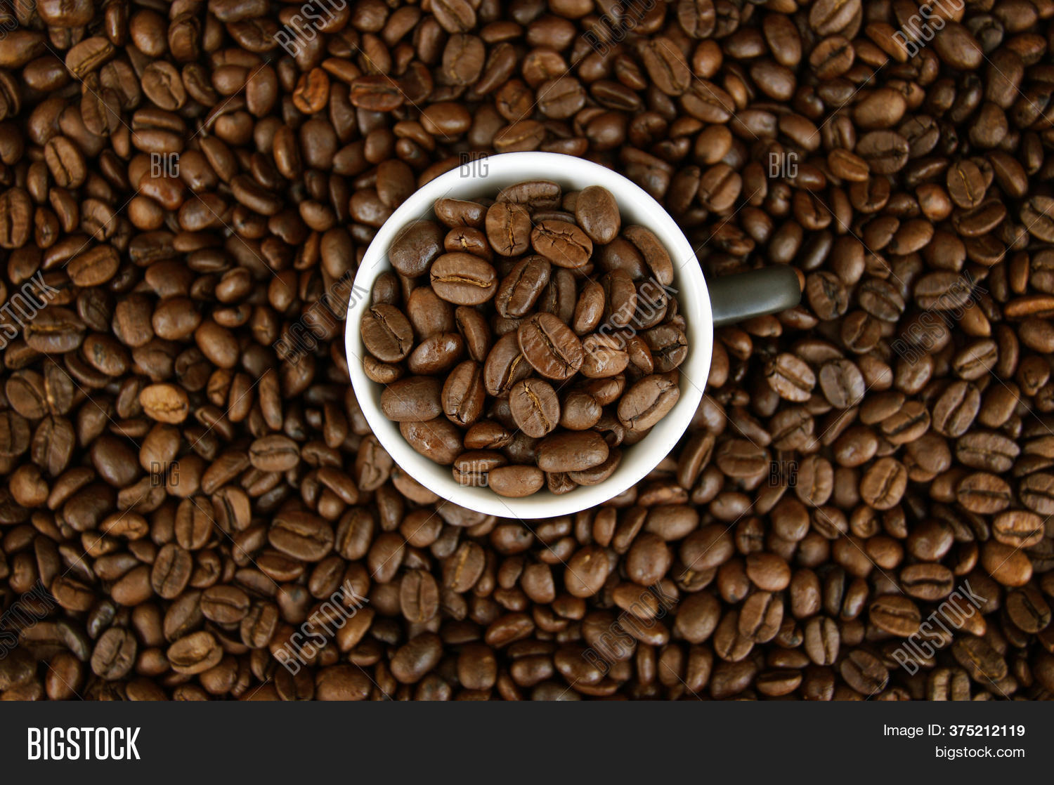 Mixture Different Image & Photo (Free Trial) | Bigstock