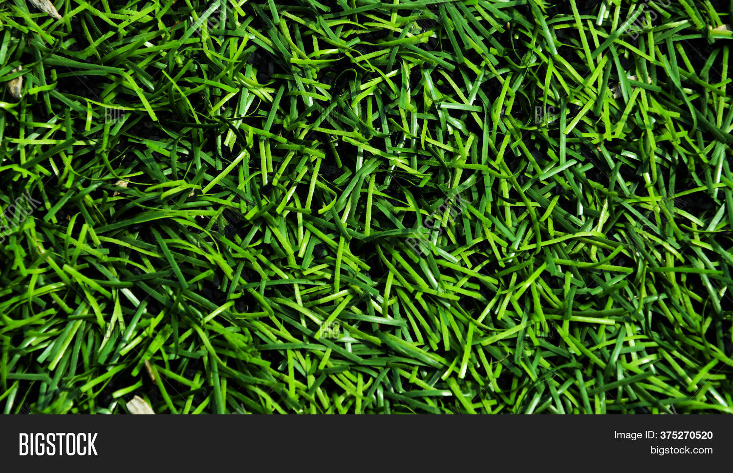 Artificial Turf. Image & Photo (Free Trial) | Bigstock