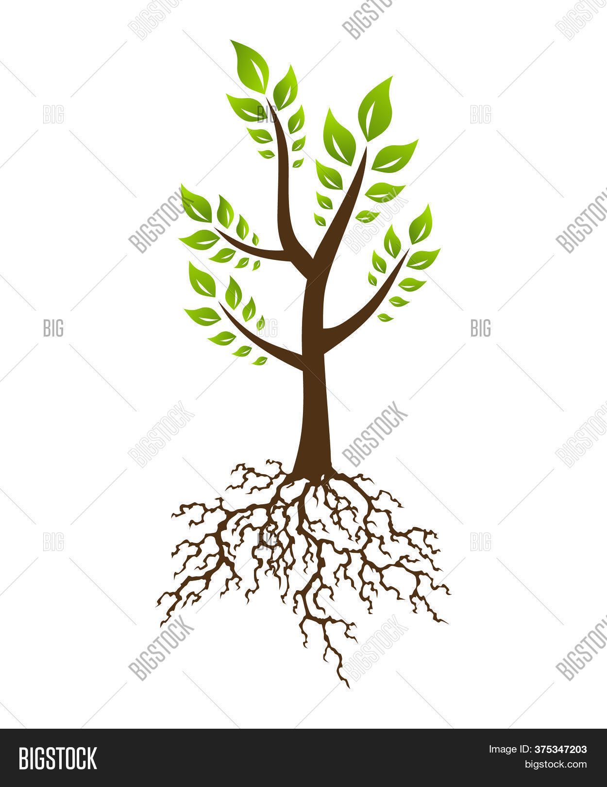 Abstract Tree Root. Image & Photo (Free Trial) | Bigstock