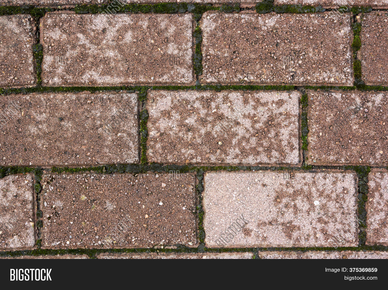 Texture Paving Tiles Image & Photo (Free Trial) | Bigstock