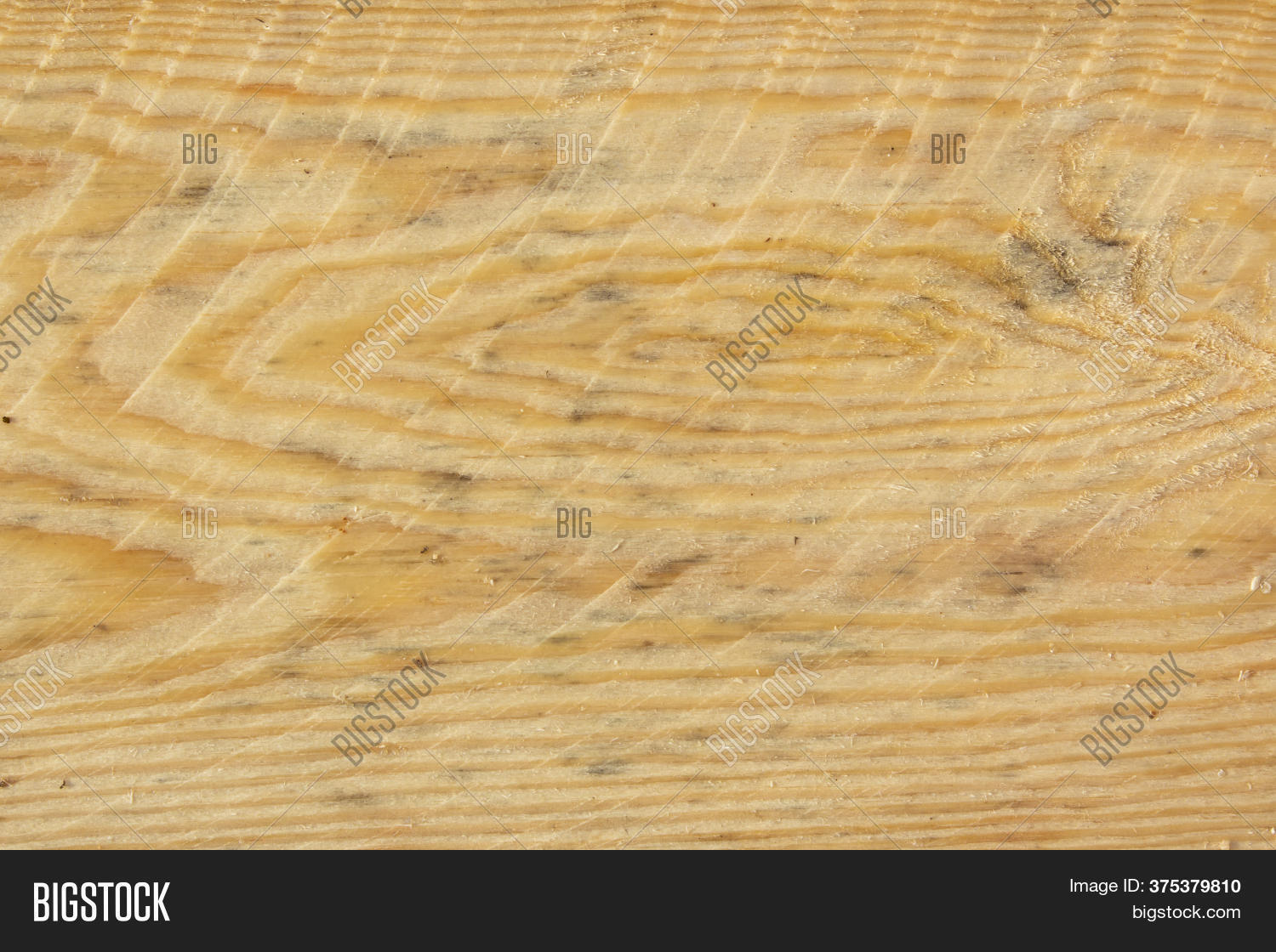 Roughly Sawn Board. Image & Photo (Free Trial) | Bigstock