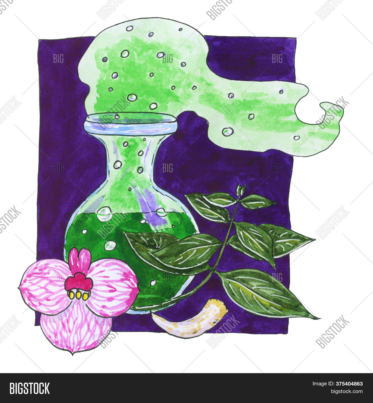 Witch Potion Flask Image & Photo (Free Trial) | Bigstock