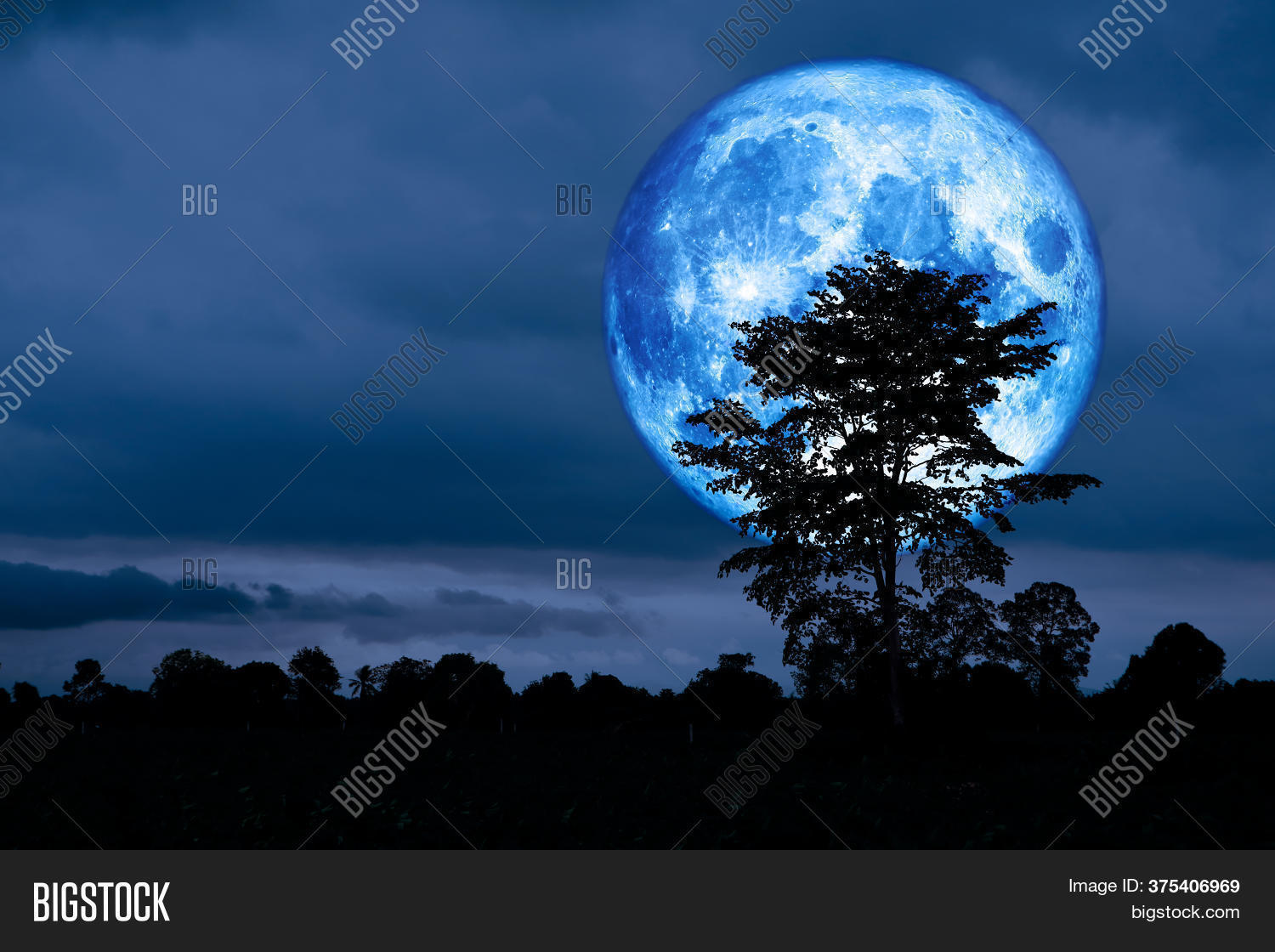 Full Crust Blue Moon Image & Photo (Free Trial) | Bigstock