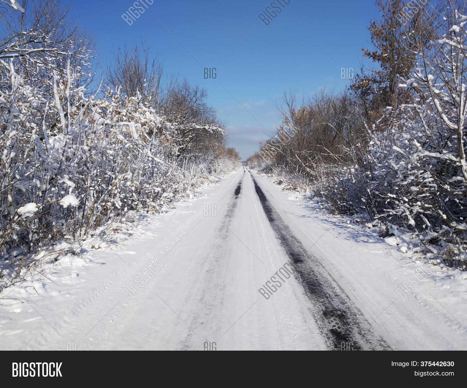 Winter Sunny Day. Image & Photo (Free Trial) | Bigstock