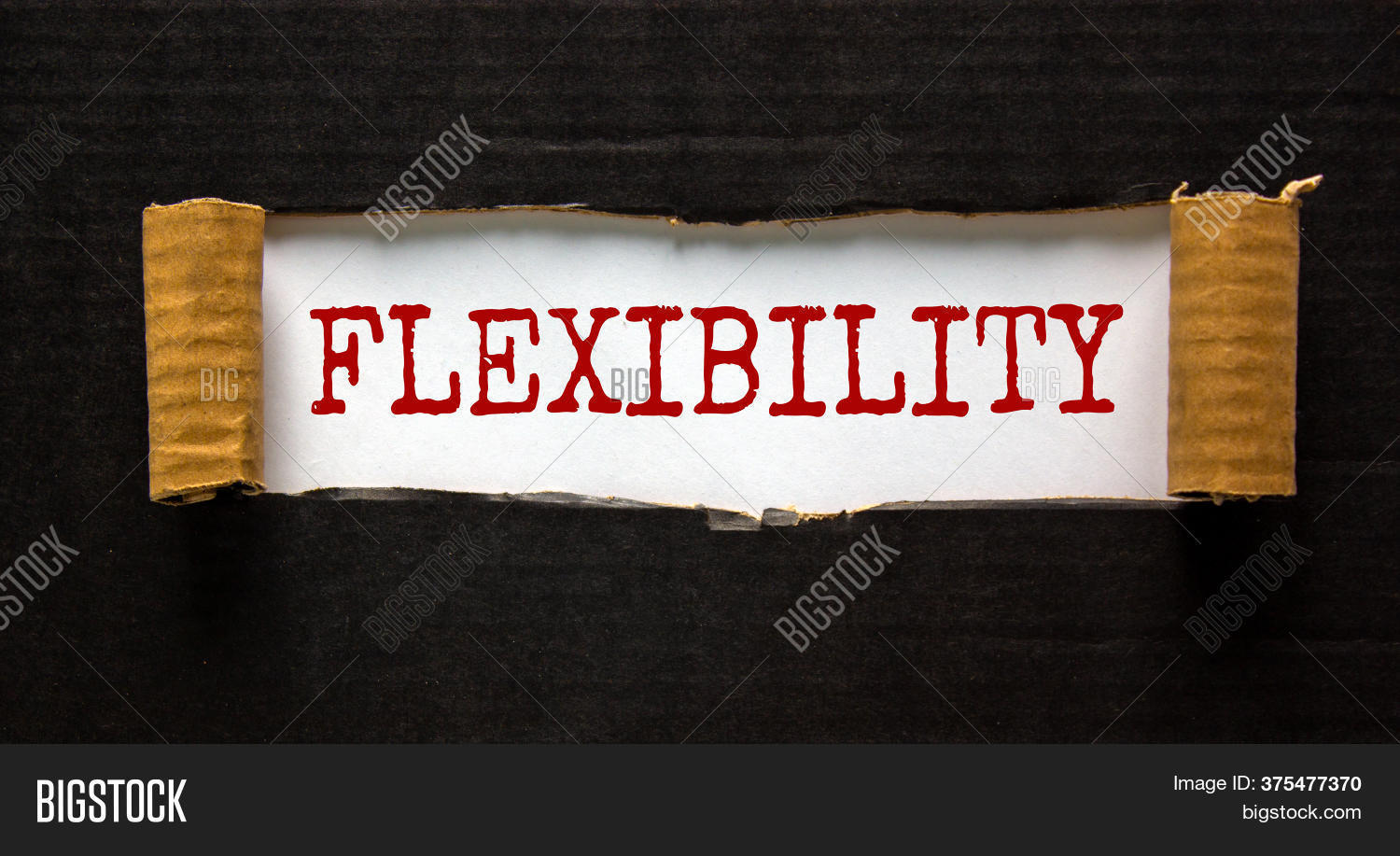 Word 'flexibility' Image & Photo (Free Trial) | Bigstock